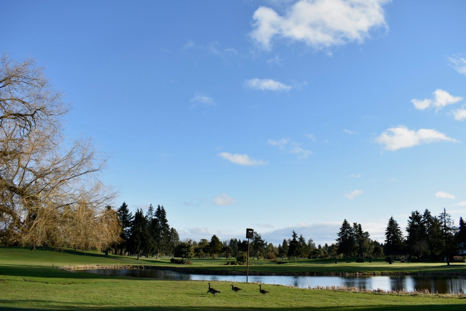 Banquet Rooms & Venue – Events at Fort Langley Golf Course